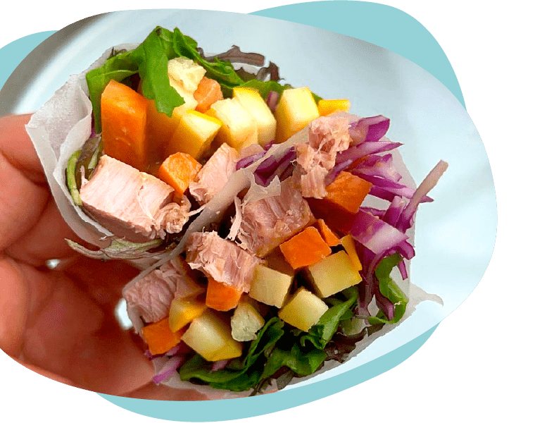 Receta fácil de spring rolls con atún natural pietrán